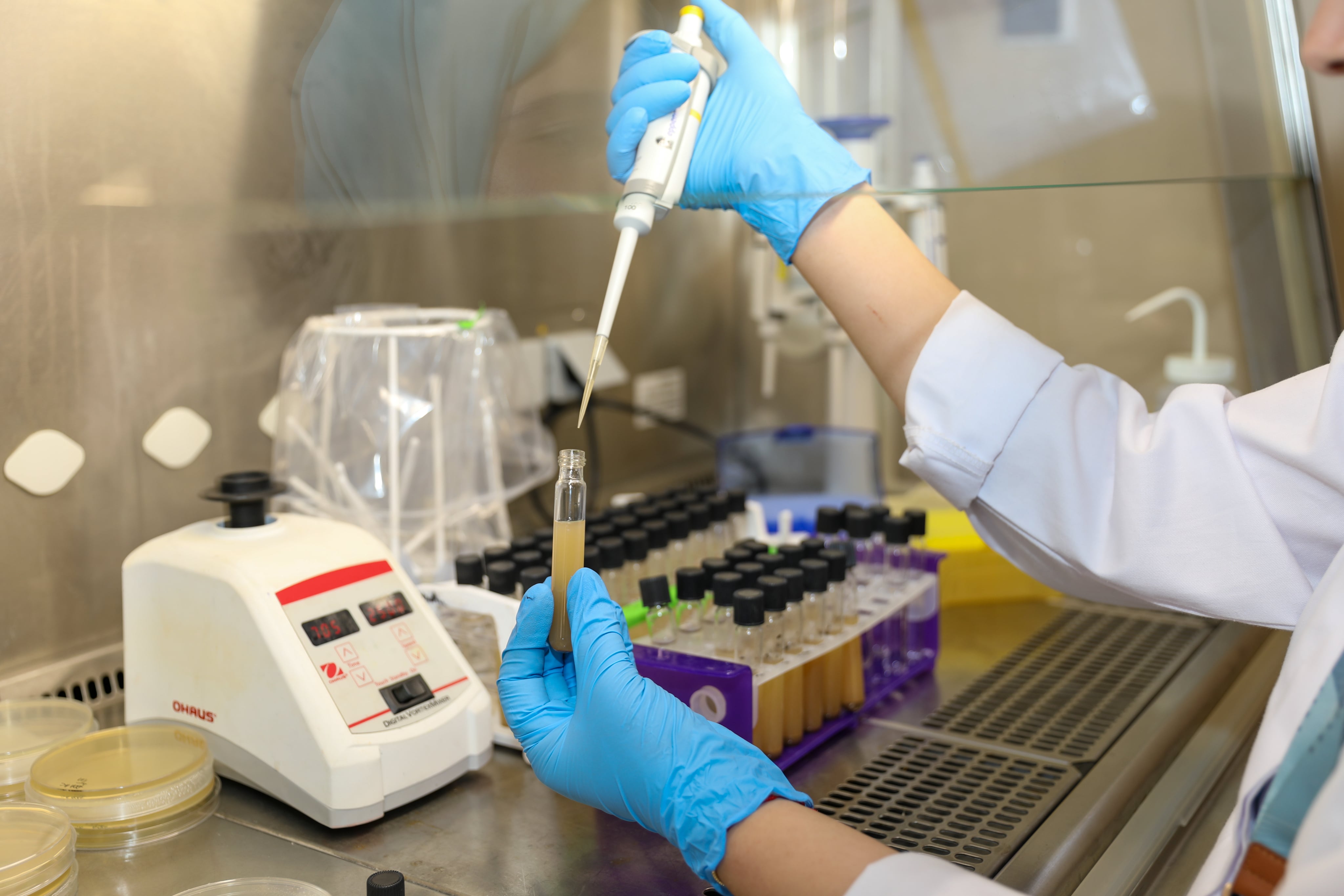 Research at UM6P | Overview